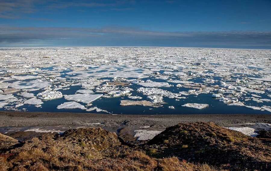 Coreapp.ai - decentralized online education platform