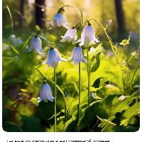 Helga Dan — профиль пользователя в Шедевруме