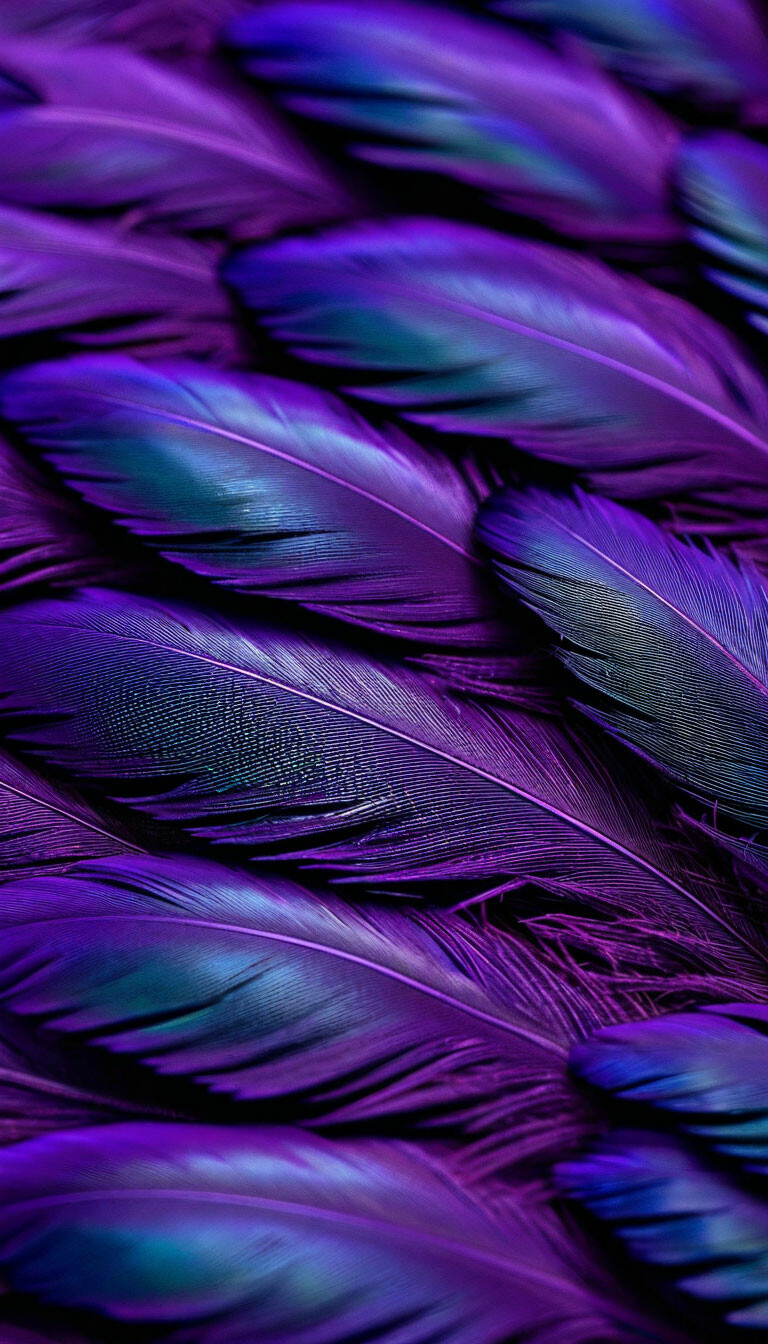 "🟣 purple feathers close-up, lying flat in a row, side view, dark tones ...