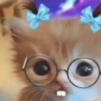 Гретта мемная — профиль пользователя в Шедевруме