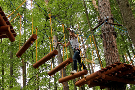 Prioksko-Terrasnyi State Biosphere Reserve (Moscow Region, Serpukhov City District, Prioksko-Terrasny gosudarstvenny prirodny biosferny zapovednik imeni M.A. Zablotskogo), doğa koruma alanı  Moskova ve Moskovskaya oblastından