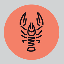 Raki i Gady (Komsomolskiy Avenue No:42с1), restoran  Moskova'dan