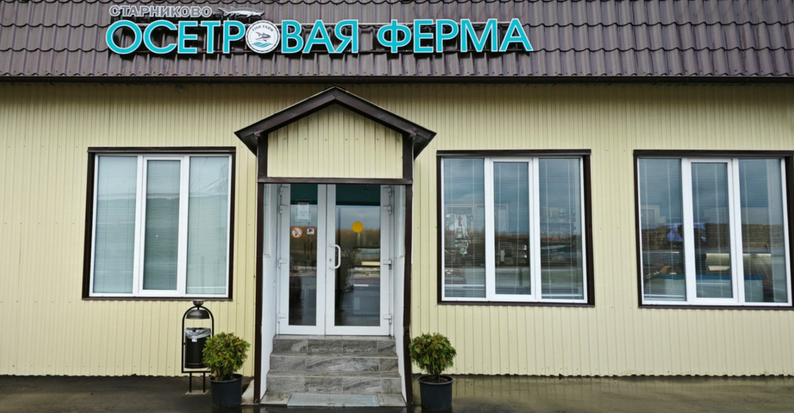 Farm-Fish (Moscow Region, Ramenskiy Urban District, derevnya Starnikovo), balık çiftçiliği ve toptancıları  Moskova ve Moskovskaya oblastından