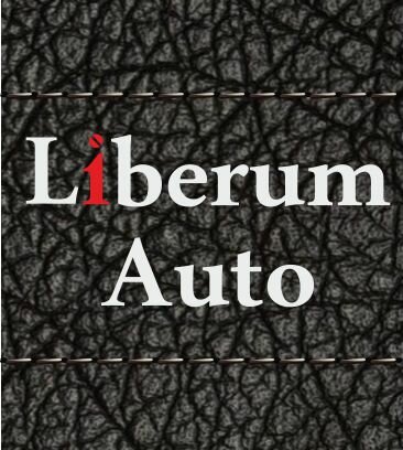 Mercedes Liberum Auto (Pakgauznoye Highway No:6), otomobil servisi  Moskova'dan