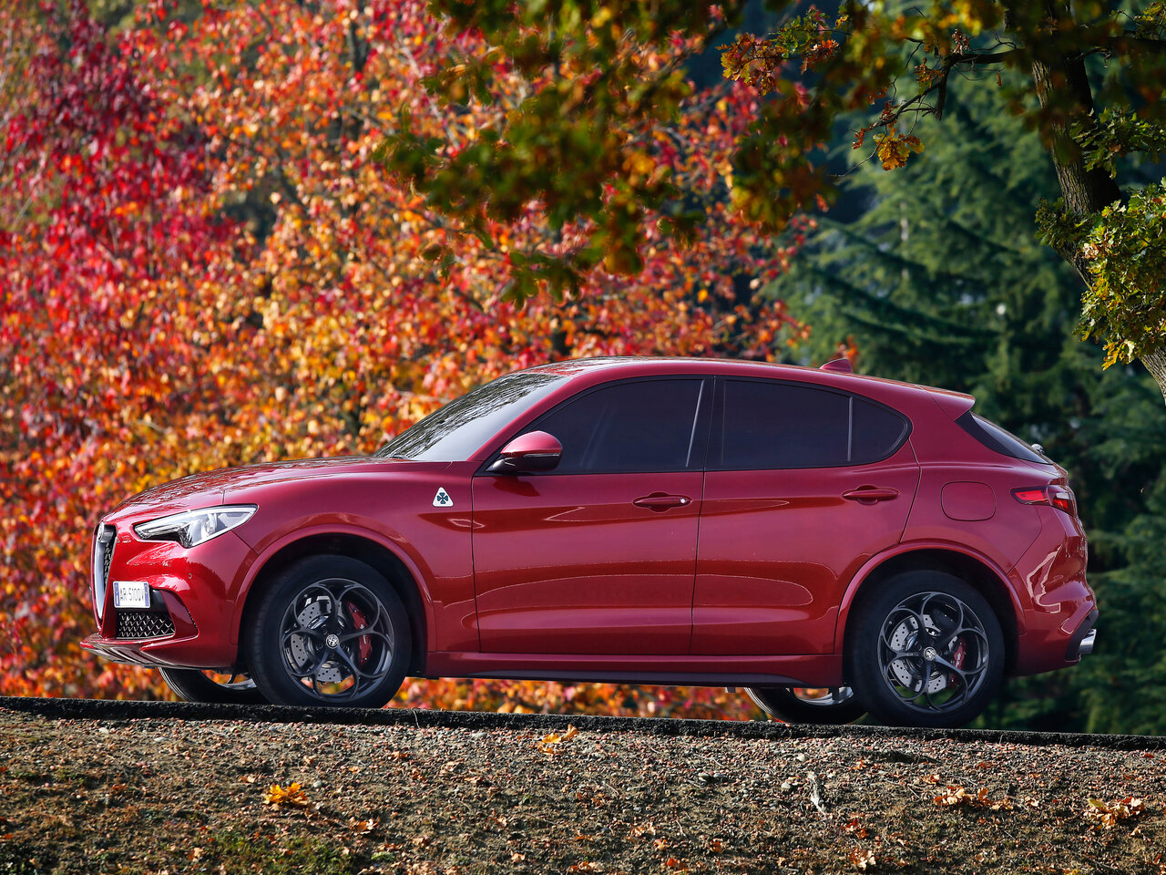 Сравнение Alfa Romeo Stelvio Quadrifoglio и Volga C40 по ...