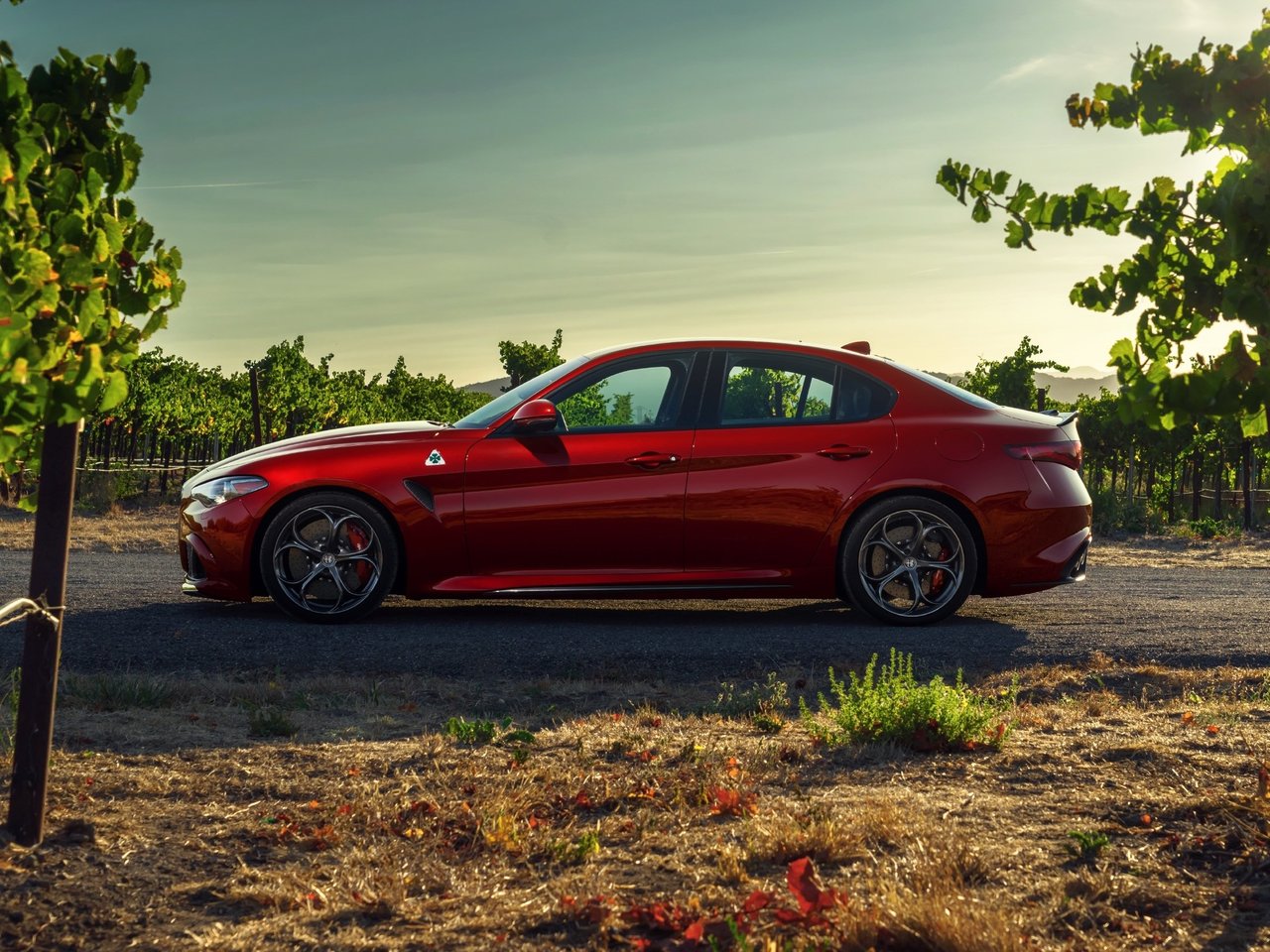 Сравнение Alfa Romeo Giulia GTAm и Volga C40 по характеристикам ...