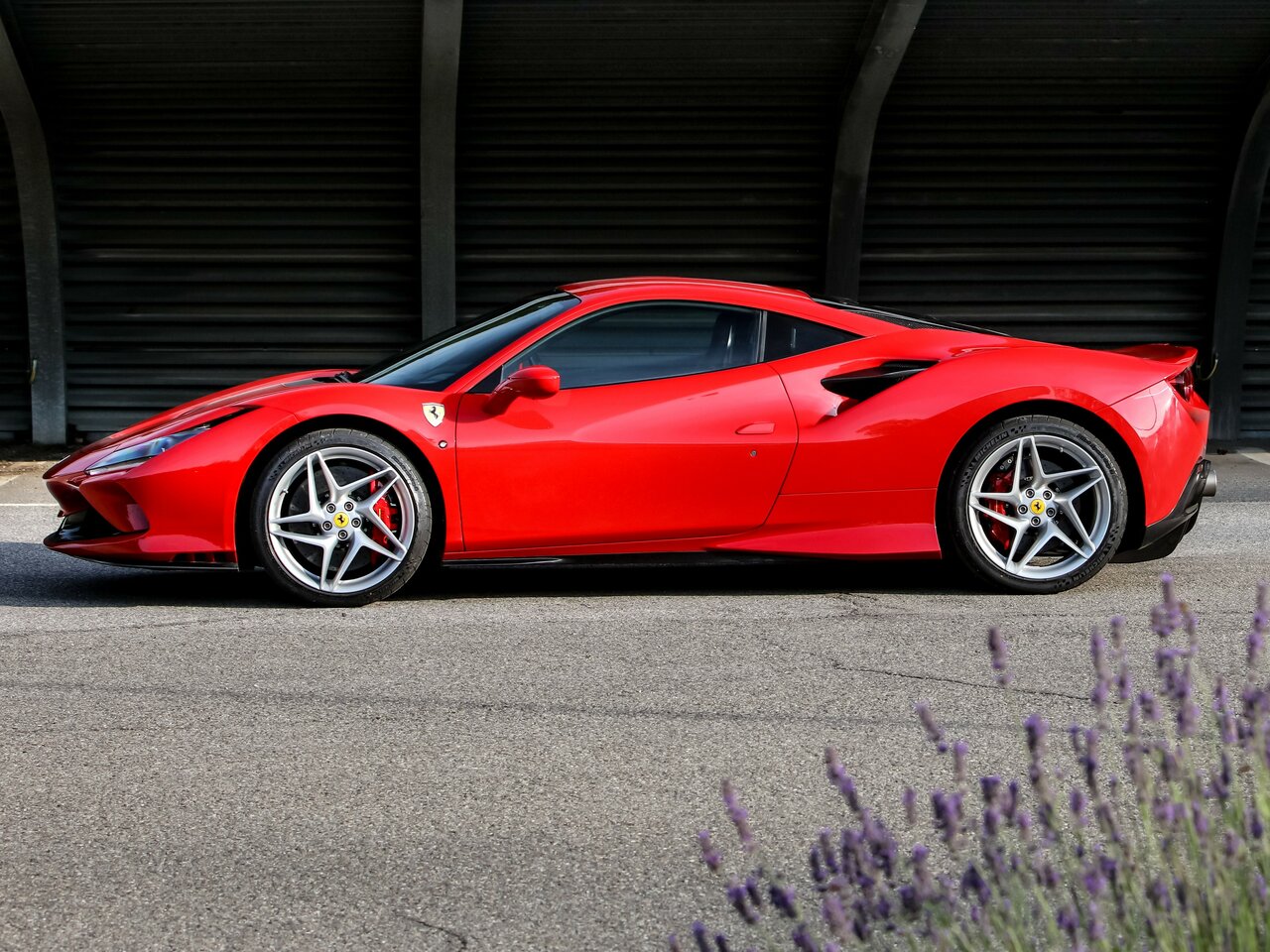 Сравнение Ferrari F80 и Ferrari F8 Tributo по характеристикам ...