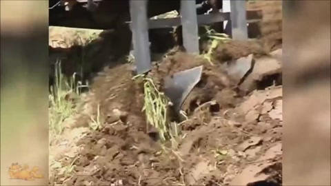 Видео Нива с плугом | OK.RU - Смотреть онлайн в поиске Яндекса по Видео