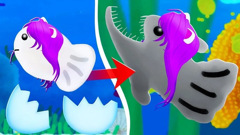 [Yoshi] Эволюция Рыбки ОТ Создателя Secret Staycation! Roblox If I Made ...