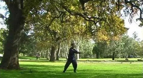 18 Forms Tai Chi Qigong (shi ba shi) Beginners Introductory Full Form ...