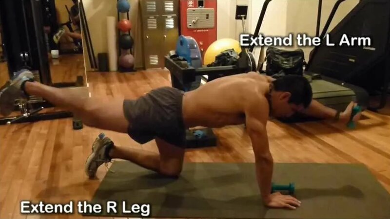 Bird Dog Core Strength Exercises 3 - Bird Dog Core Stability Exercises ...