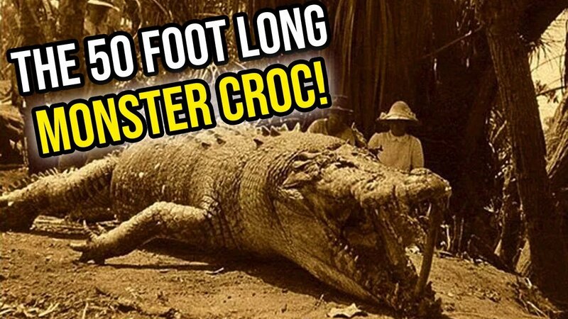 Mahamba: The Congo's 50 Foot Monster Croc - Смотреть онлайн в поиске ...