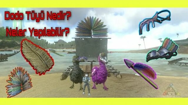 What is a Dodo Feather? What Can You Do With a Dodo Feather? | Ark ...