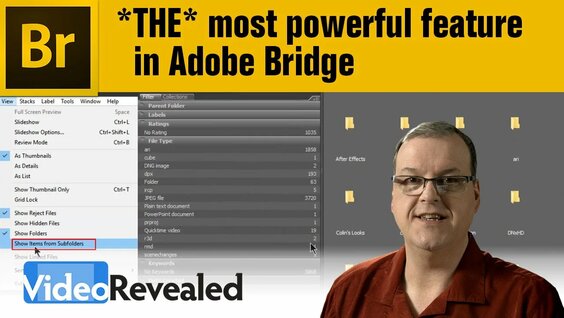 adobe bridge: 858 video Yandex'te bulundu