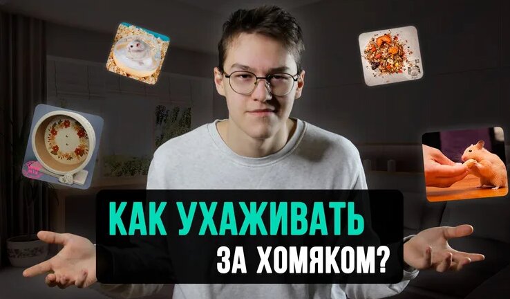 ЧТО Нужно Знать прежде Чем Заводить Хомяка Как ухаживать за хомяком Какого хомяка выбрать