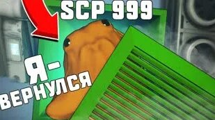SCP 999 Вернулся В Комплекс В SCP: Secret Laboratory! — Видео от Hell ...