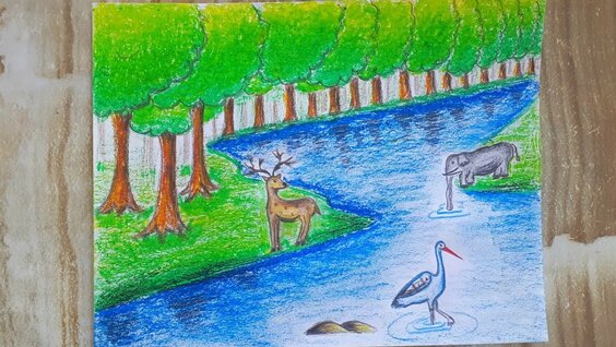 orman resimleri çizimi: 808 video Yandex'te bulundu