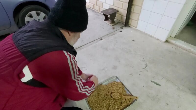 Tavuklar yumurtlamıyorsa çözüm burda - Tavuklarda yumurta verimini ...