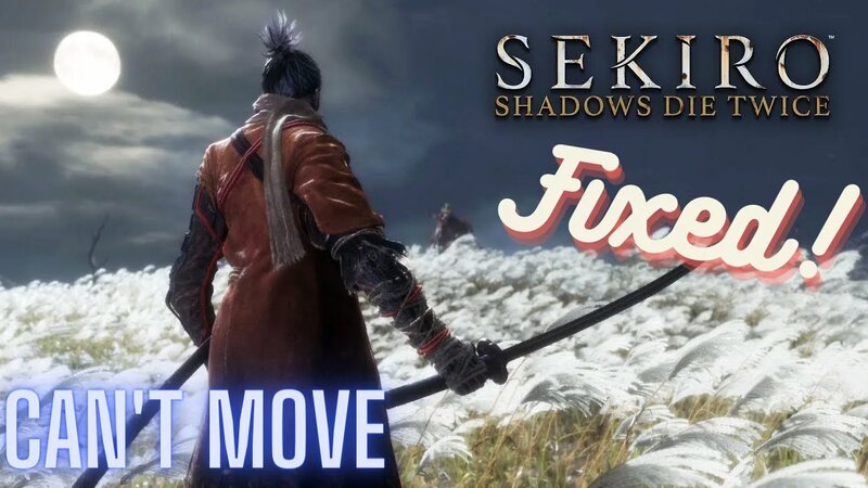 Sekiro cannot Move (Problem Fixed) - Keyboard and Mouse/Controller ...
