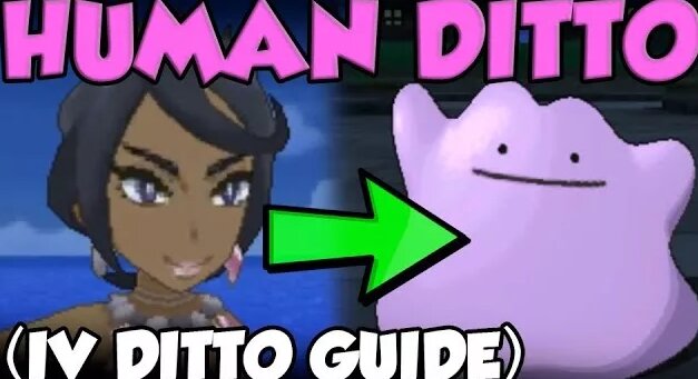 Human Ditto Locations?! IV Ditto Guide for Pokemon Ultra Sun and Ultra ...