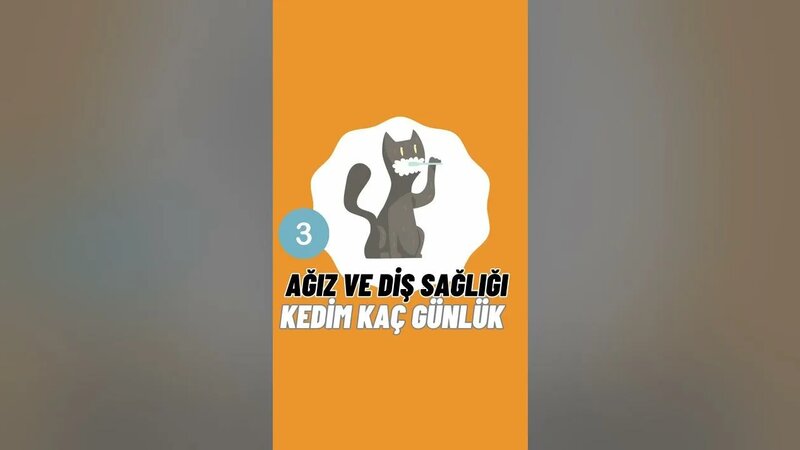 Kedim Kaç Aylık Nasıl Anlarım ? | Kedimin Ağzı Neden Kokuyor ? # ...