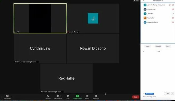 Pretend / Fake Zoom Meeting Work Screen ( Mac ) - Смотреть онлайн в ...