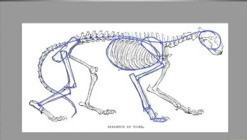 Daniel - BL Short Lgbtq