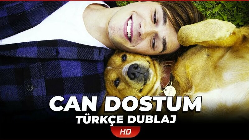 Can Dostum | Türkçe Dublaj HD İzle - Yandex Video aramada çevrimiçi izle