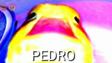 Pedro meme - Yandex Video aramada çevrimiçi izle
