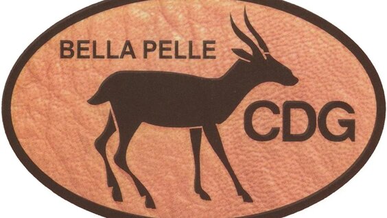 ceylan resimleri boyama: 944 video Yandex'te bulundu