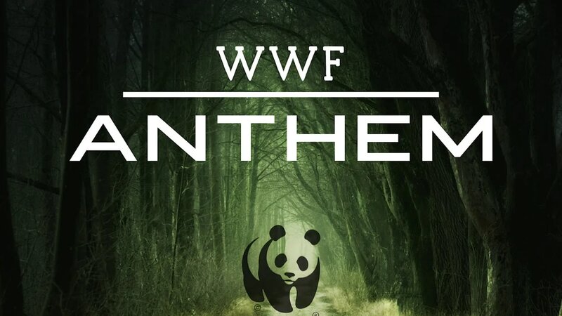 Wwf anthem || world wide fund for nature - Yandex Video aramada ...