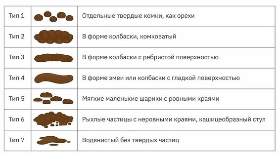 О каких Заболеваниях предупреждает ваш КАЛ_ Форма, цвет Здорового стула ...