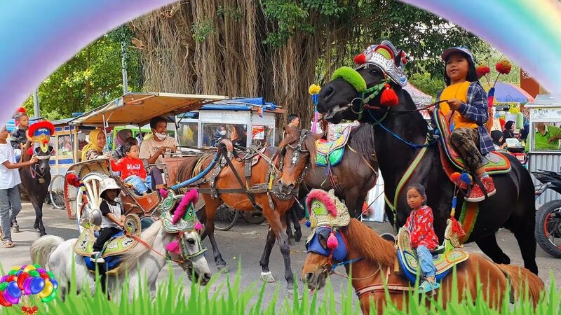 Kuda | Kuda Delman| Kuda Renggong| Horse So Cute | Kuda jingkrak | kuda ...