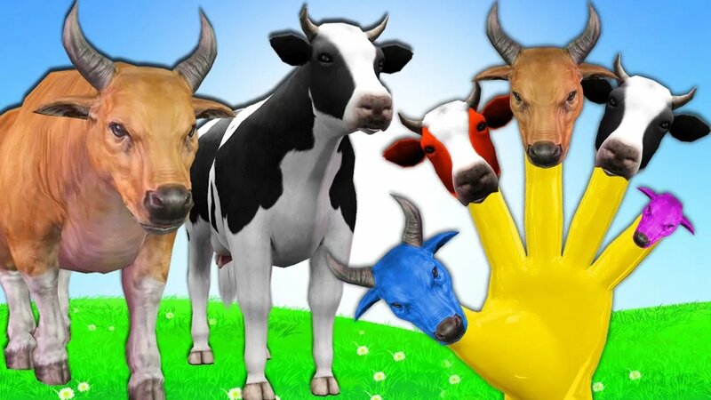 Cow Finger Family Song | Cow Family Song | Finger Family Nursery Rhymes ...