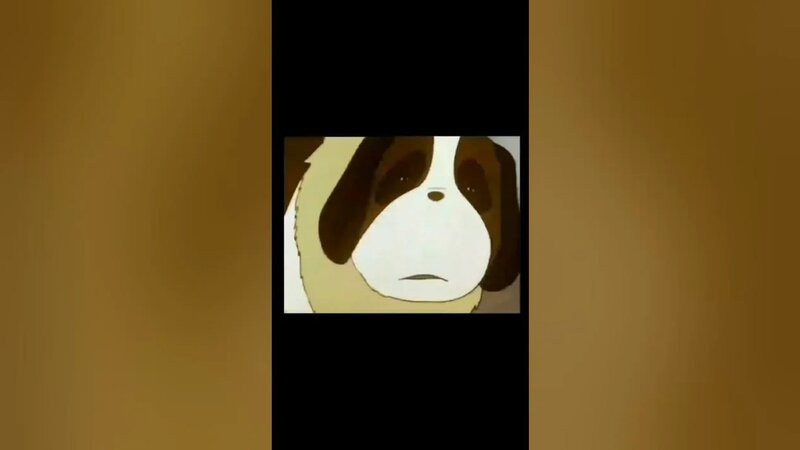 OY Asiye Asiye/ Heidi ve Kopegi #shorts #memes - Смотреть онлайн в ...