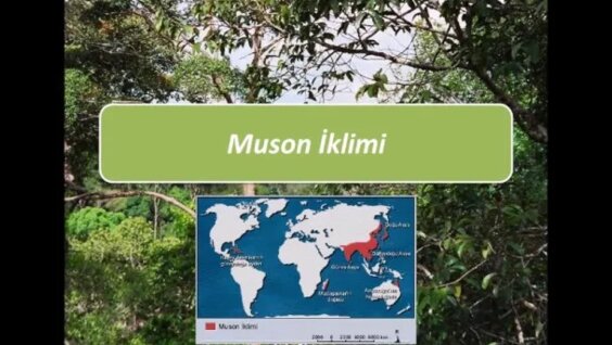 muson iklimi özellikleri: 783 video Yandex'te bulundu