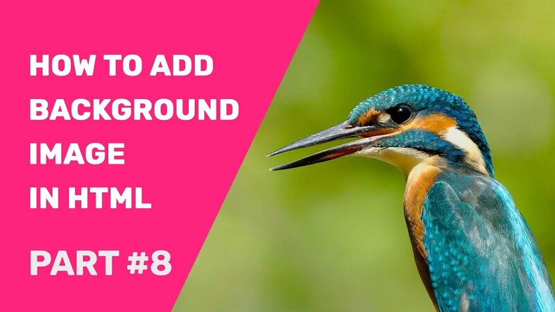 How To Add Background Image In HTML Using Notepad ++ | HTML Images ...