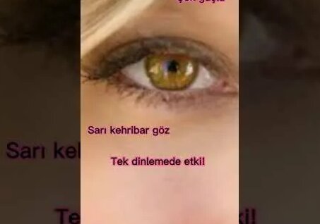 kehribar göz rengi: 831 video Yandex'te bulundu