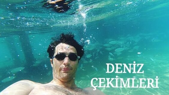 deniz balık resimleri: 1 bin video Yandex'te bulundu