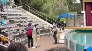 Tom mim — Видео от Tom mim Шоу - Смотреть онлайн в поиске Яндекса по Видео