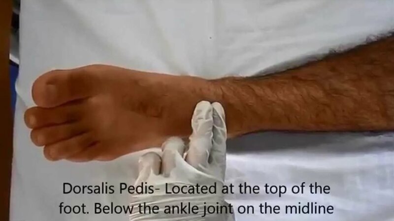 Locating Pulse : Posterior Tibial, Dorsalis Pedis, Popliteal and ...
