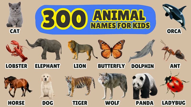 300 Animal Names for Kids | English Vocabulary | Learn Land Animals ...
