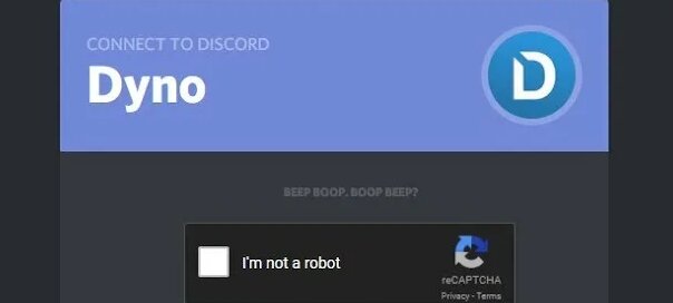 Dyno bot tutorial - Yandex Video aramada çevrimiçi izle