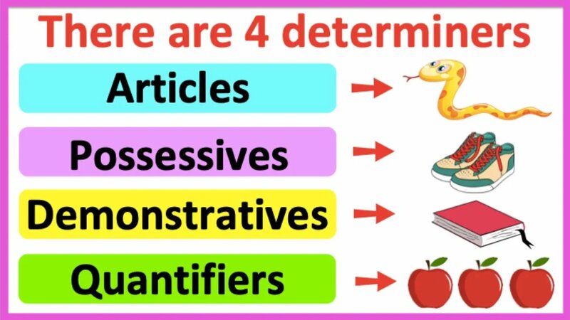 Determiners | Articles, Possessives, Demonstratives, & Quantifiers ...