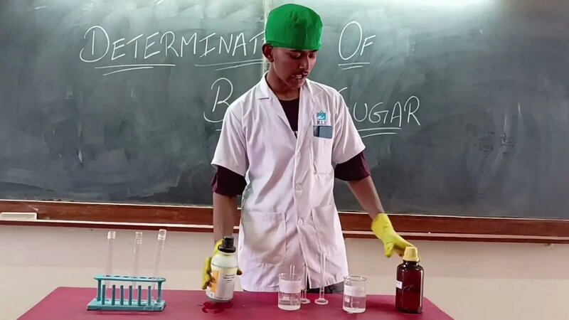 Quantitative estimation of blood sugar by folin wu method - Yandex ...