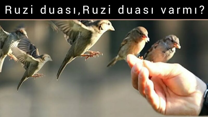 Ruzi duası. Ruzi duası varmı? (Dualar) - Yandex Video aramada çevrimiçi ...