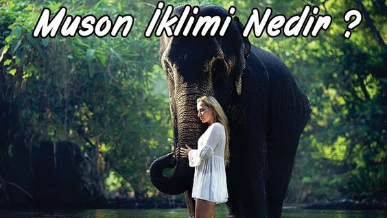 muson iklimi yağış ve sıcaklık grafiği: 784 video Yandex'te bulundu