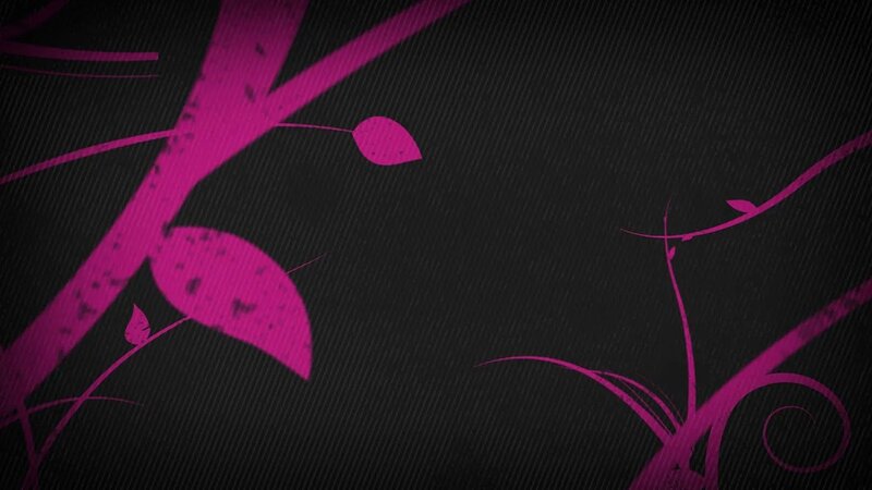 Pink vector flowers on black background