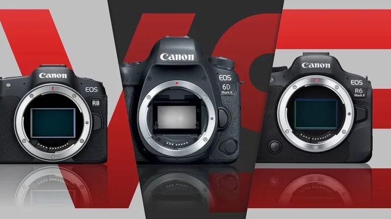 Canon EOS 6D Mark II vs EOS R8 vs EOS R6 Mark II - Видео от Андрей ...