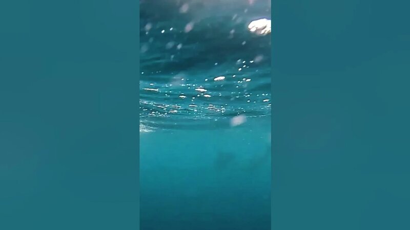 Water Sounds, Bubbling Sound, Under Water Noise, Underwater Bubble ...